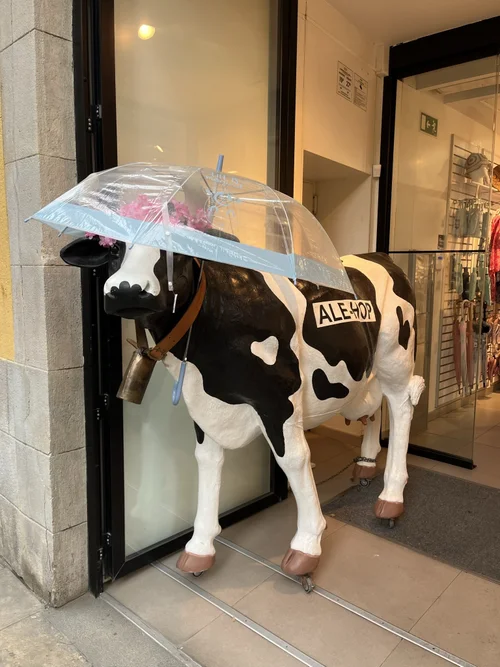 STORE INSIGHTS: Ale-Hop — ALEX GARCIA