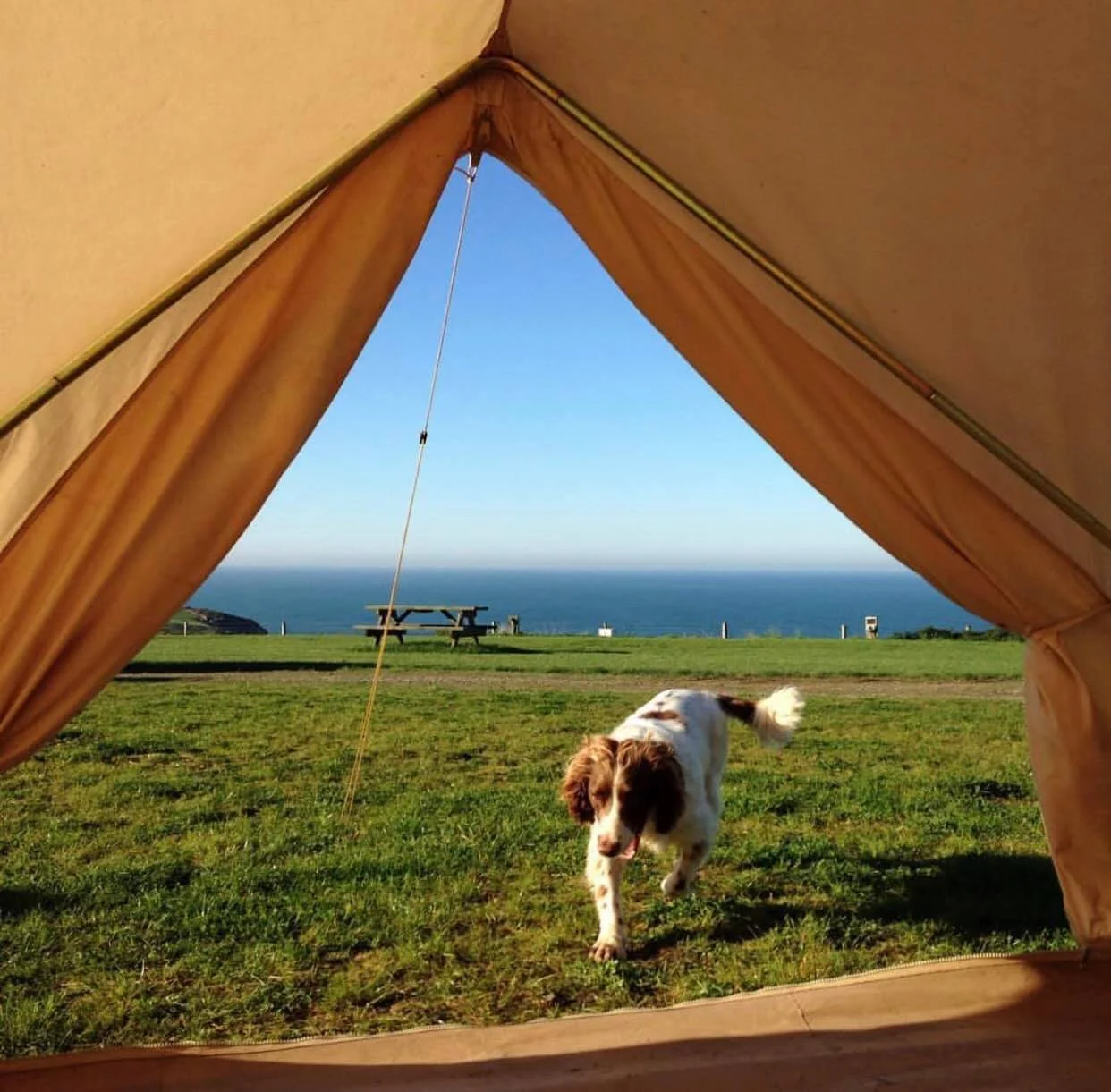 Pembrokeshire Campsite — Celtic Camping | Pembrokeshire Campsite ...