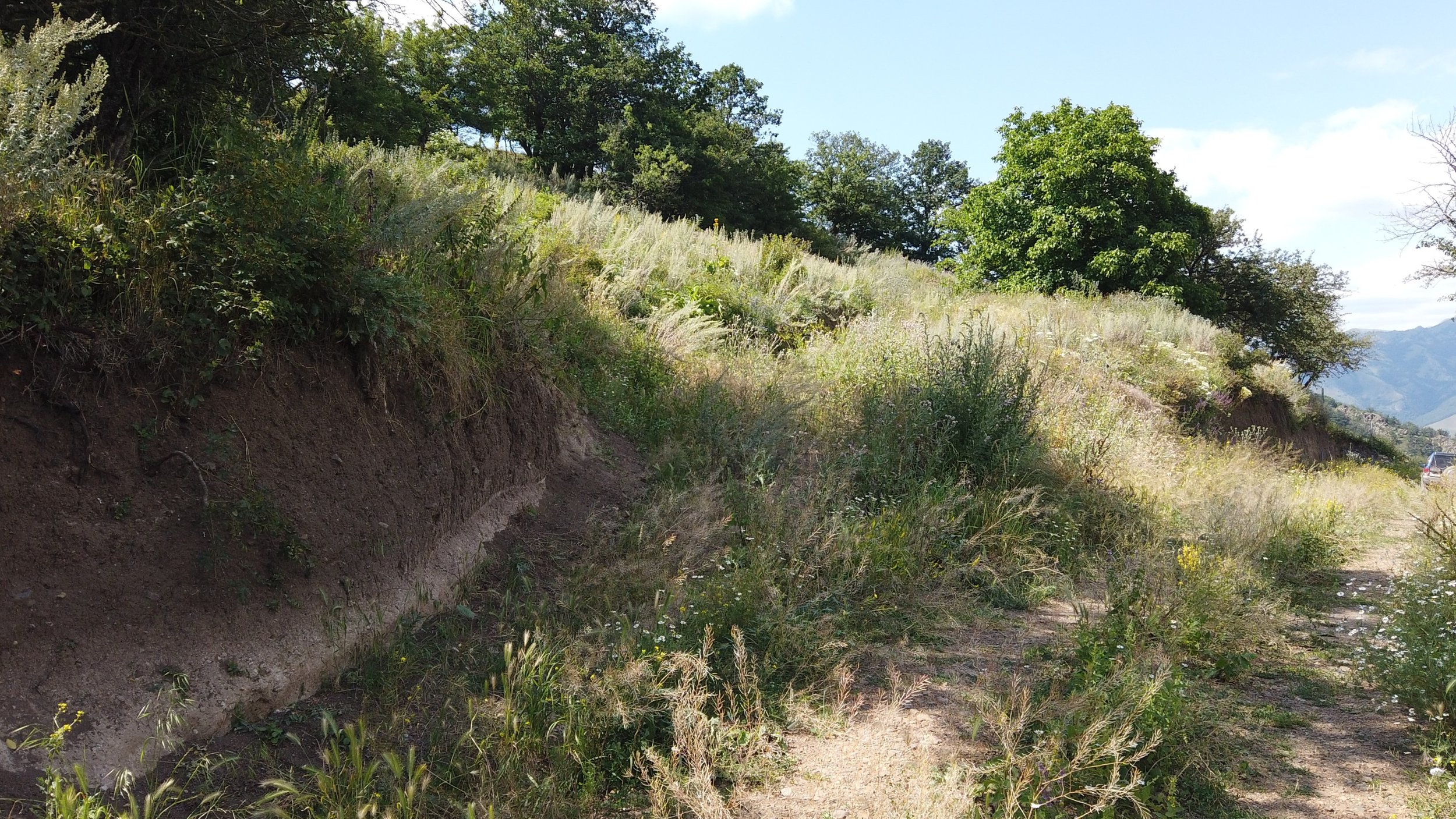 Land for Sale in Kalavan, Armenia — Cultural Deprogramming in Kalavan ...