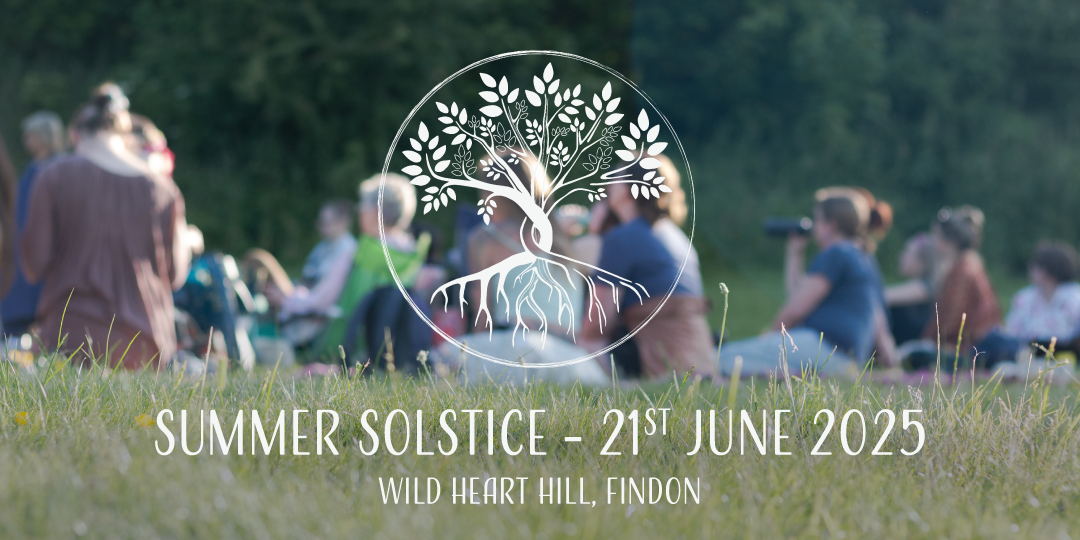 The Wellderness Summer Solstice 2025 — The Wellderness CIC