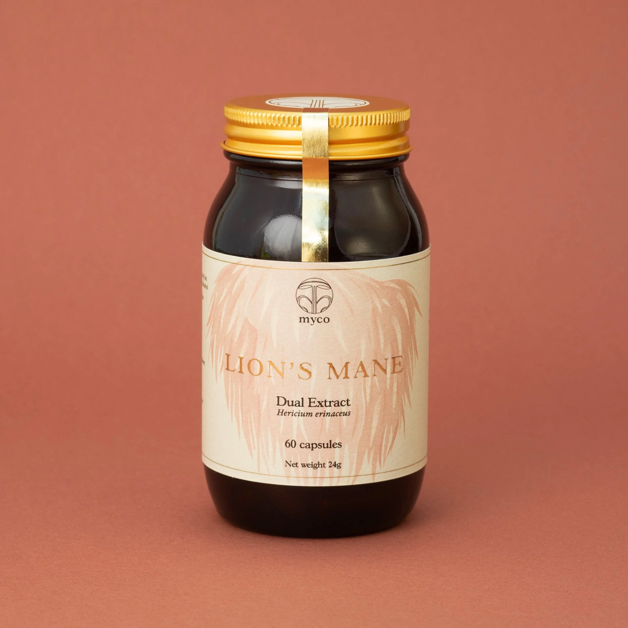 Lion's Mane Dual Extract Capsules — Myco