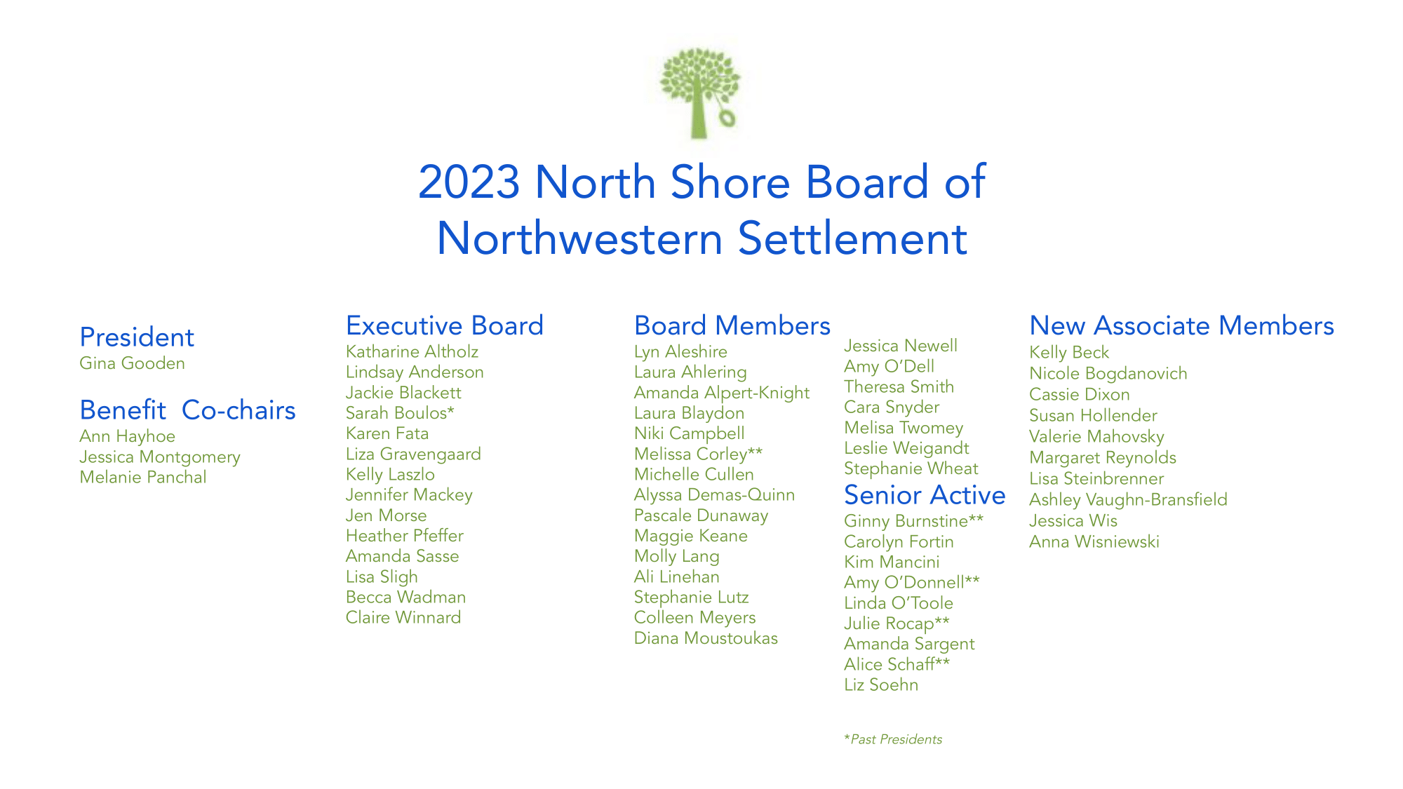 Who We Are — North Shore Board Of The Northwestern Settlement
