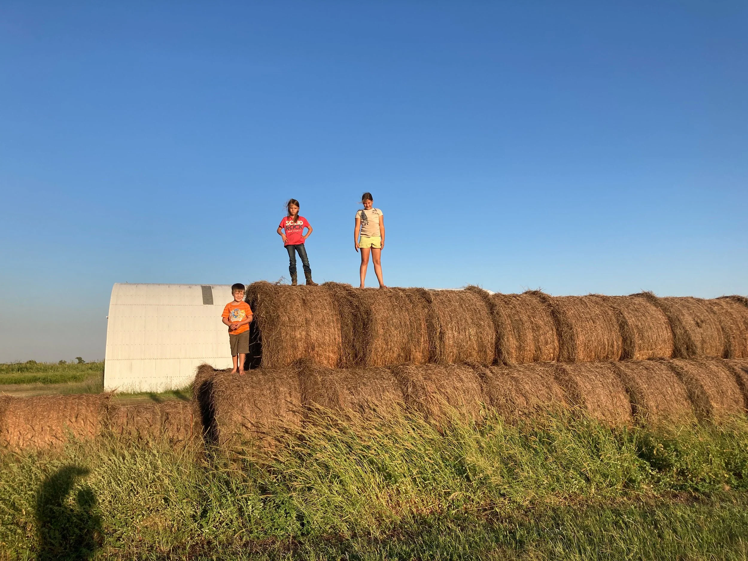Otto Land and Livestock | Pasture Raised Beef & Pork | Hutchinson, KS