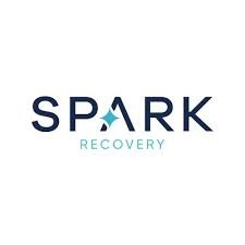 Spark Recovery — Help4HamiltonCounty