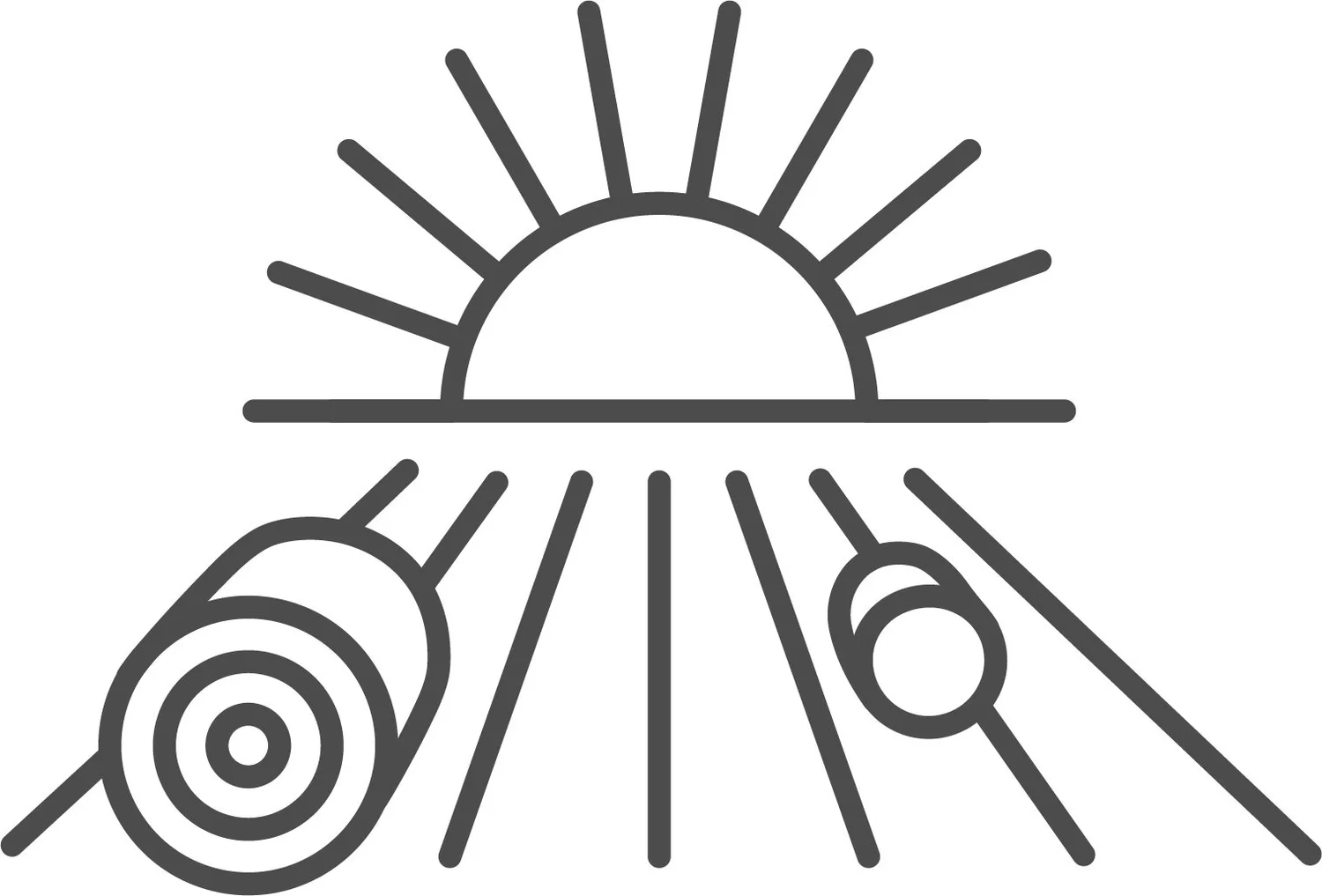 H-2A Visa Program — Labor Solutions Inc.