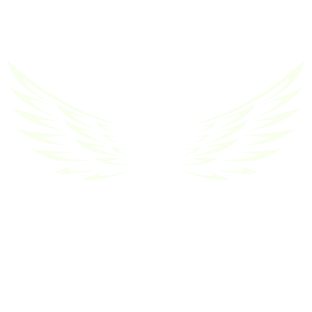 Jenny Bird Logo Creativity In Coaching With Jenny Bird, MCC And Sarah