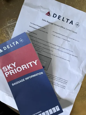 Delayed luggage guide for Delta — stray sleep eat