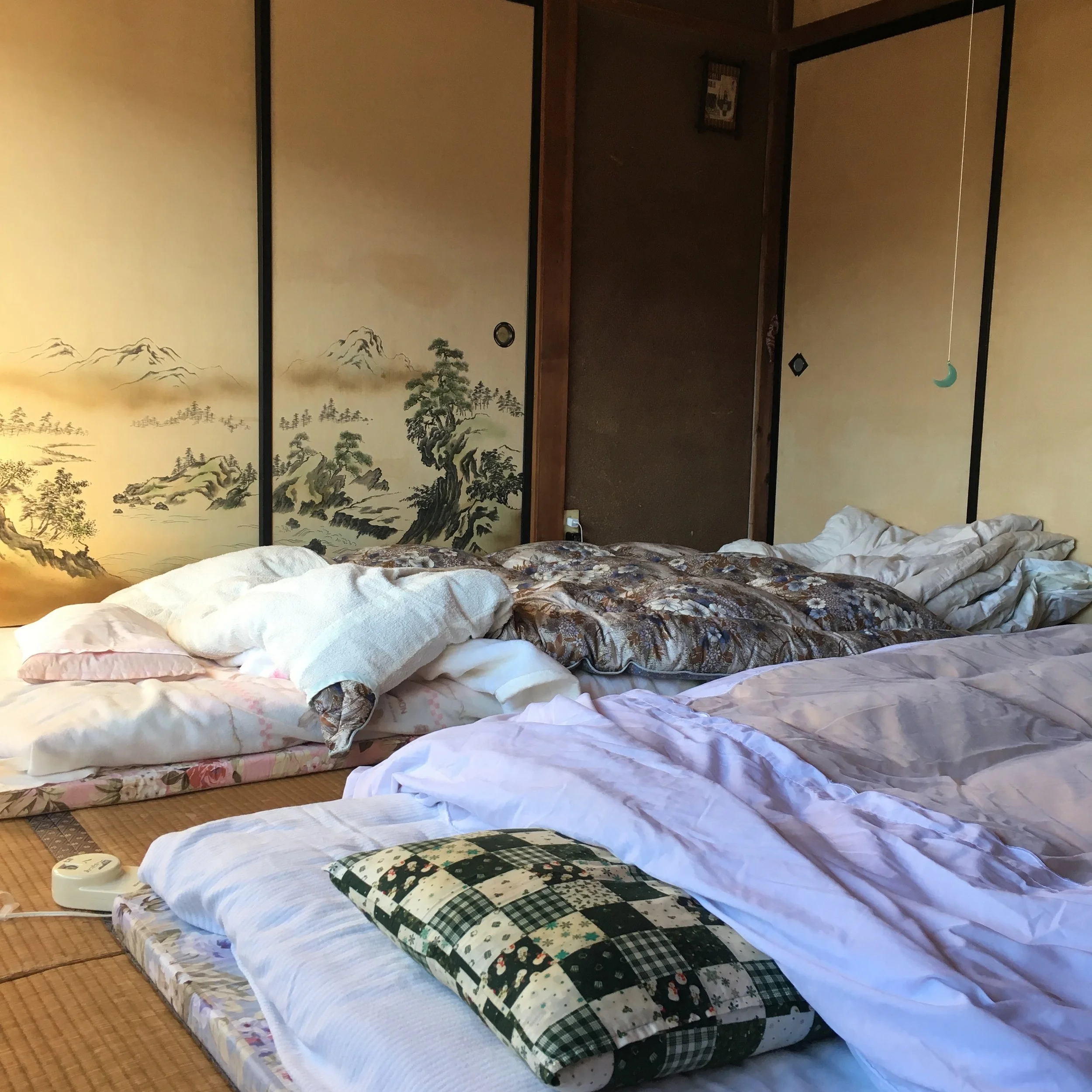 Best things to do in Japan — stray sleep eat