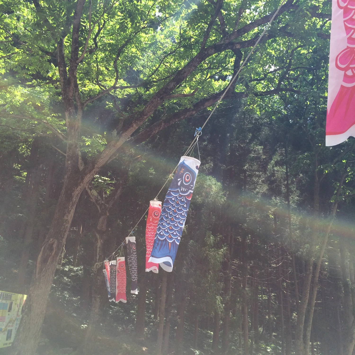 Best things to do in Japan — stray sleep eat