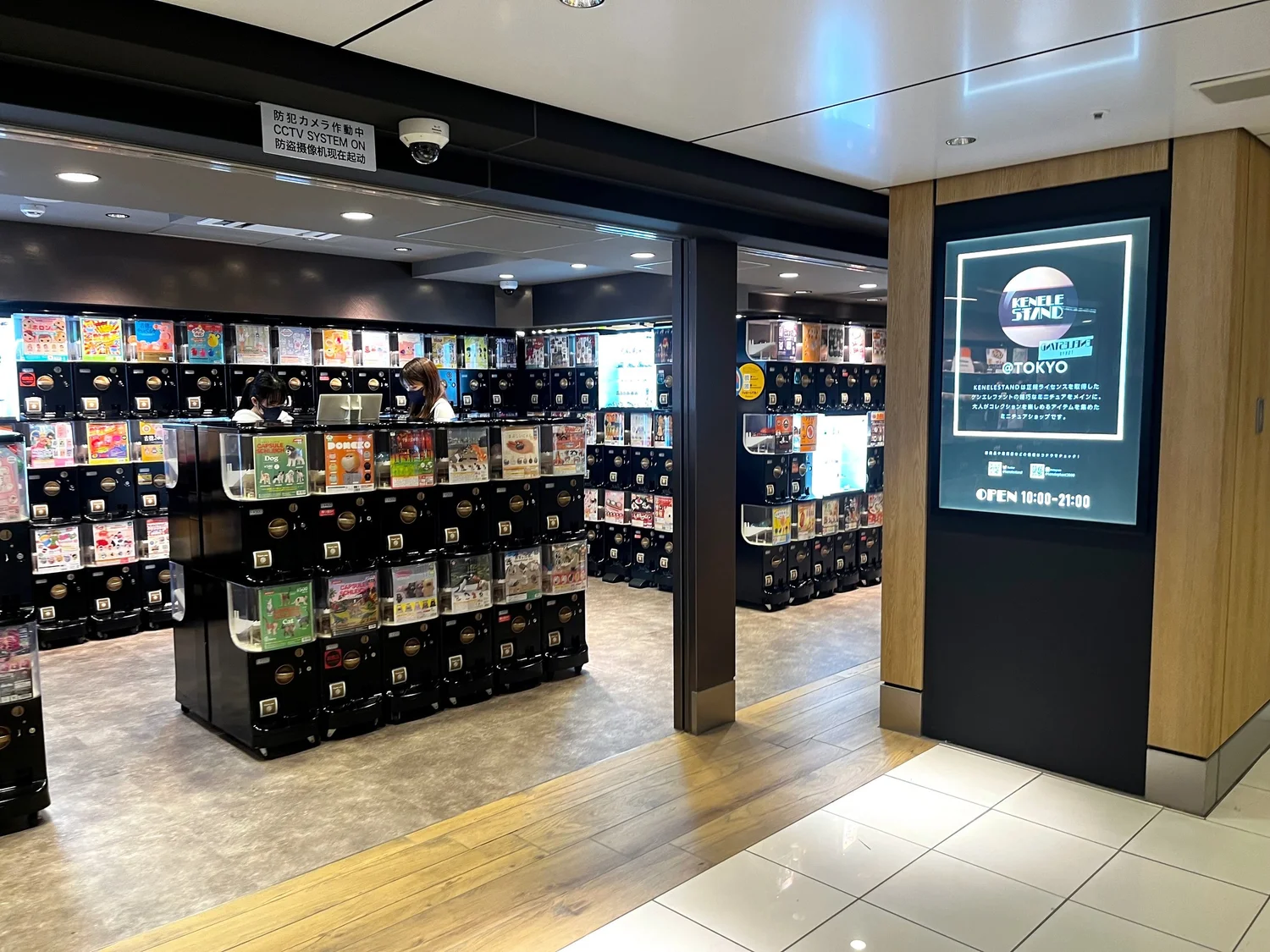 Best things to do in Tokyo — stray sleep eat