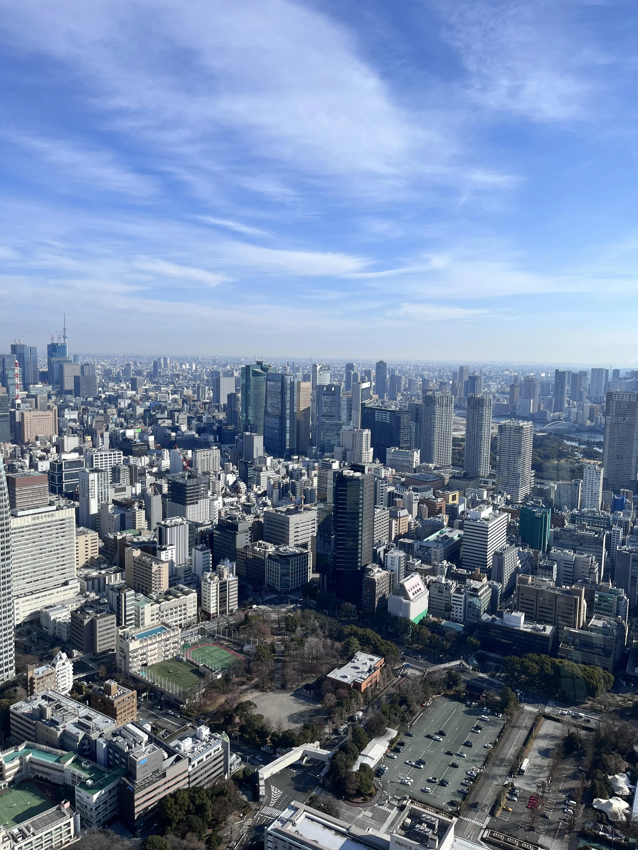 Best things to do in Tokyo — stray sleep eat