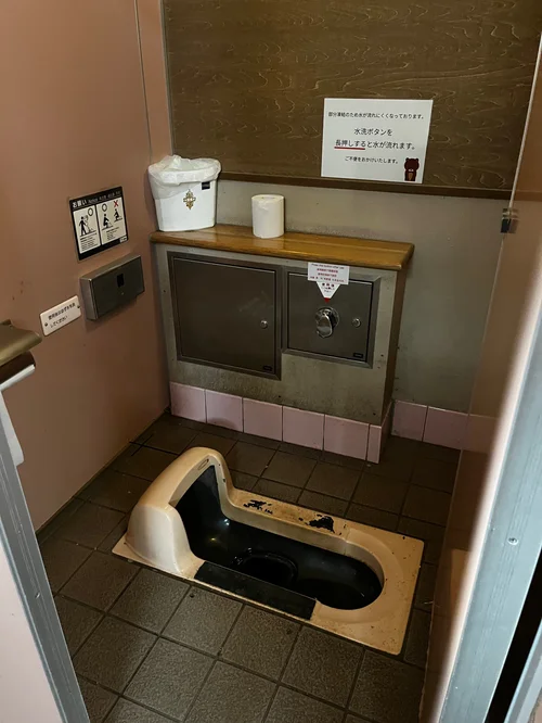 How to use Japanese toilets — stray sleep eat