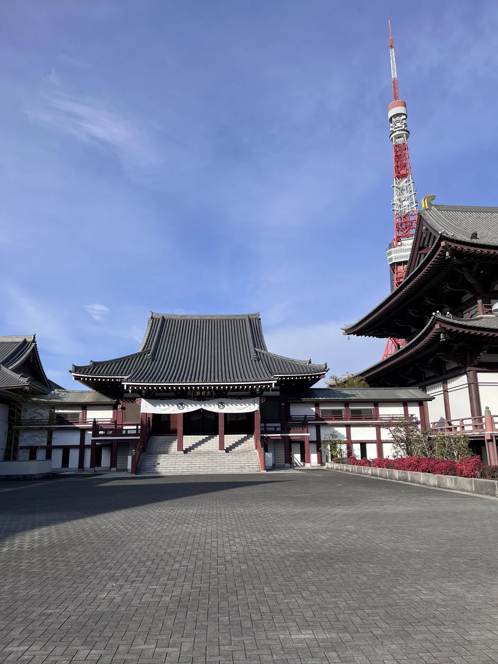 Best things to do in Tokyo — stray sleep eat