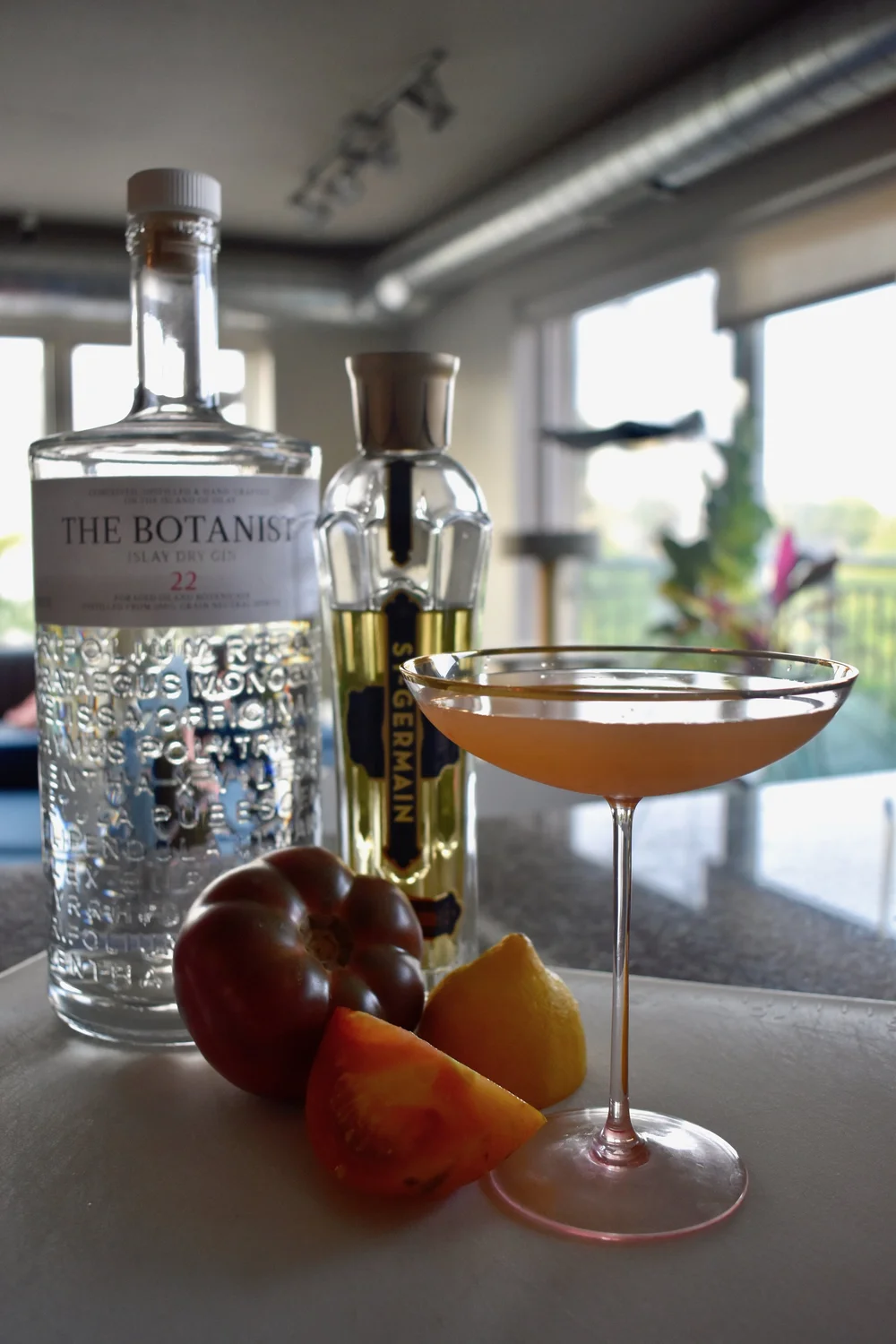 Summery Tomato and Gin Cocktail Recipe — stray sleep eat