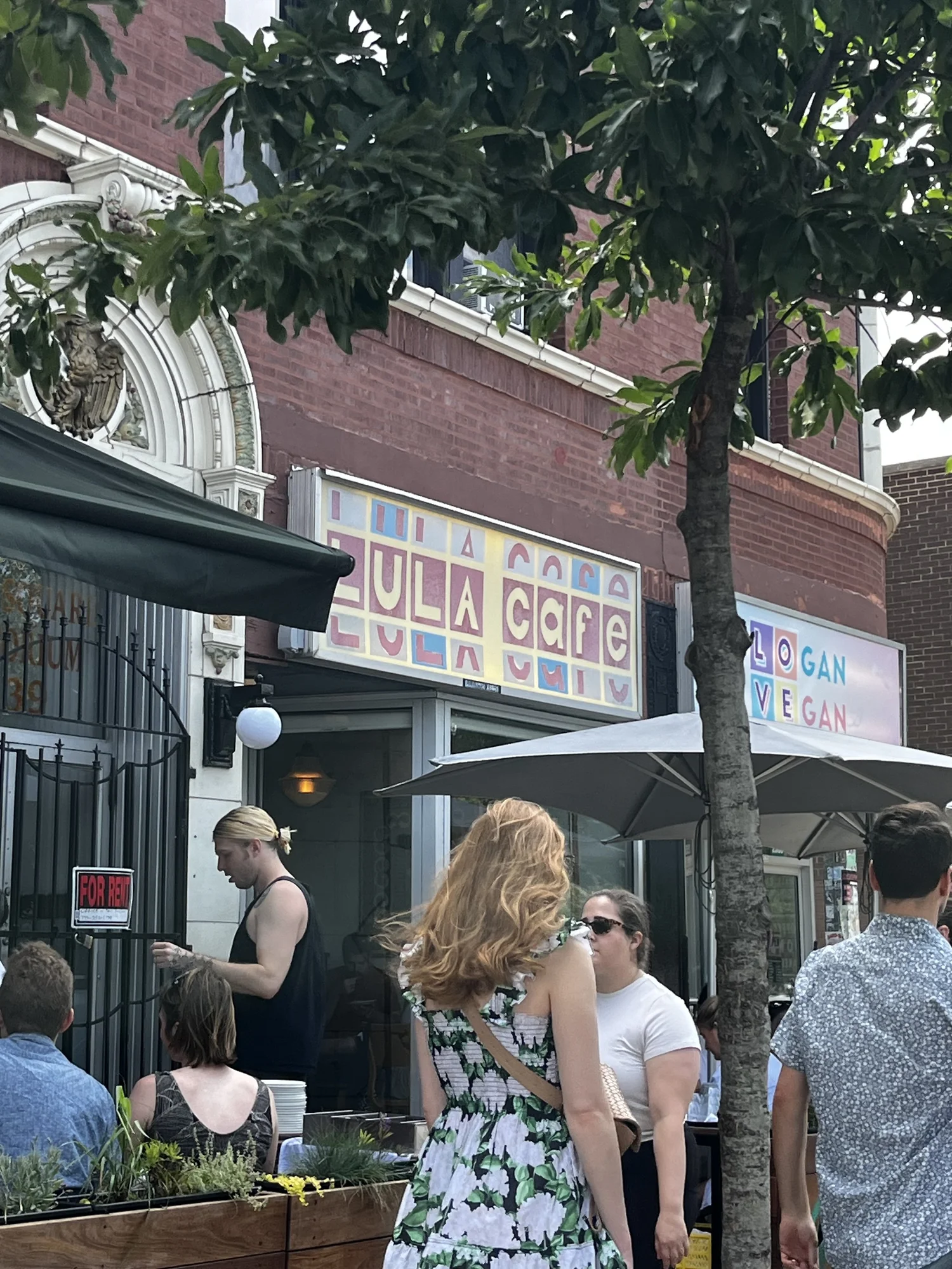 Cafe Lula’s Pasta Yiayia — stray sleep eat