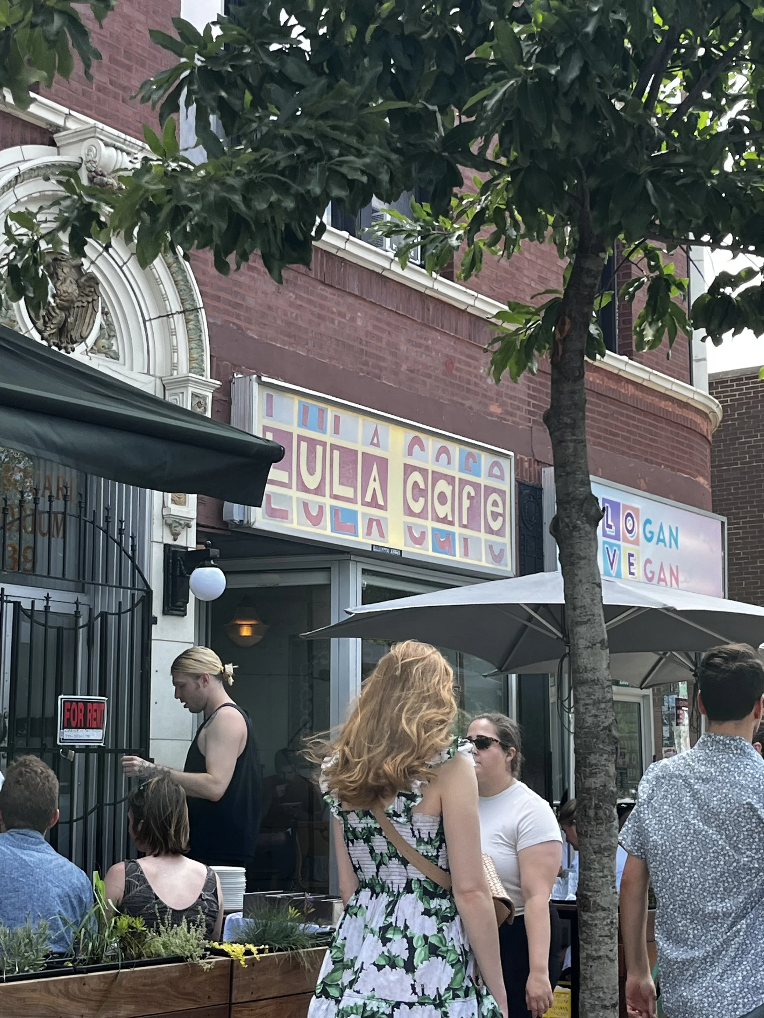 Cafe Lula’s Pasta Yiayia — stray sleep eat
