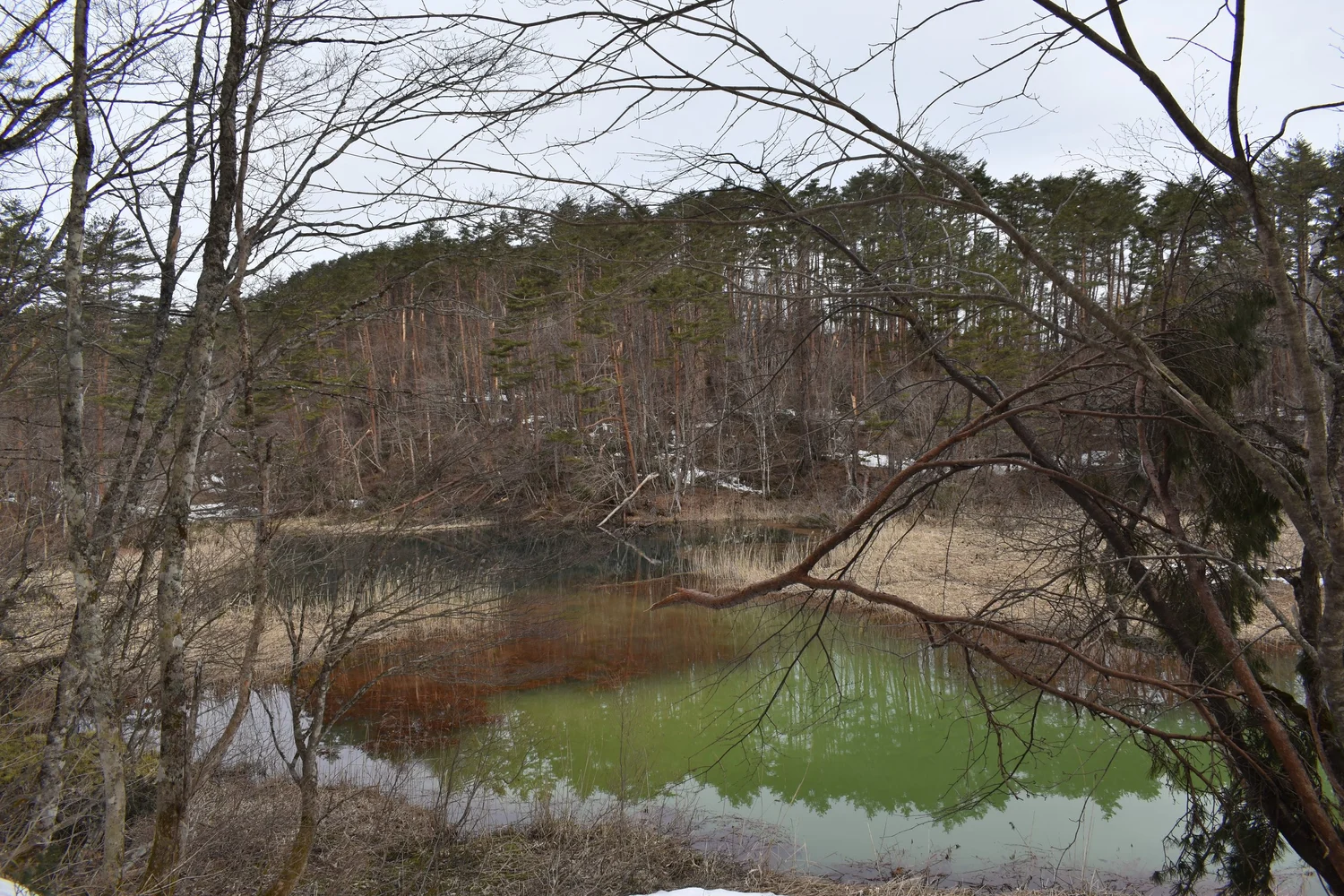 Best things to do in Fukushima, Japan — stray sleep eat