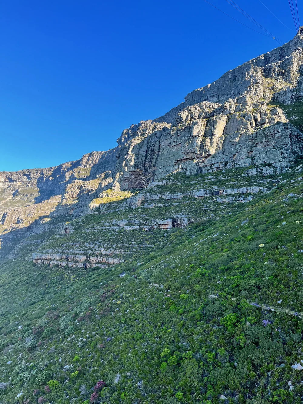 Cape Town travel guide — stray sleep eat