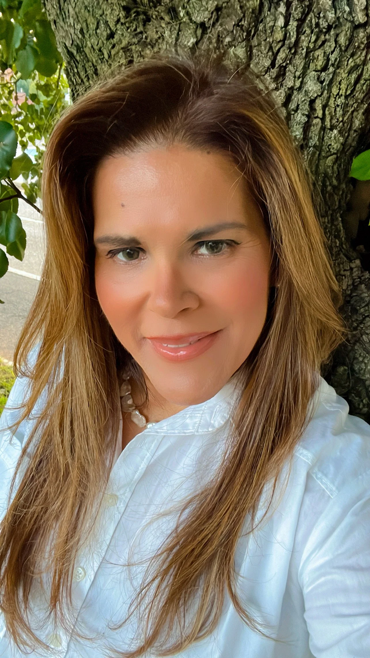 About — Homeland Insurance