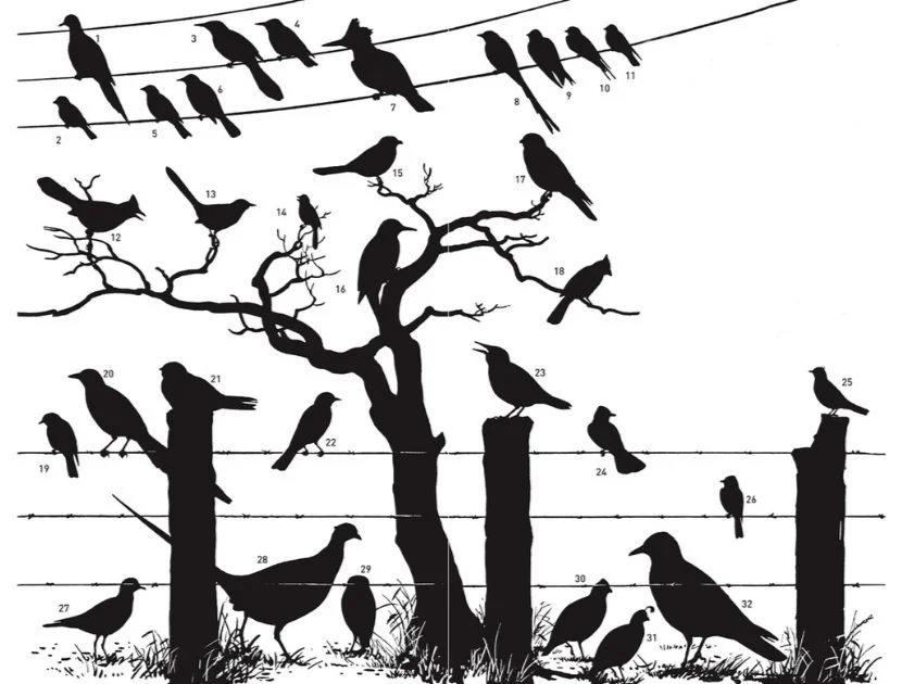 General 1 — Wild Remembering