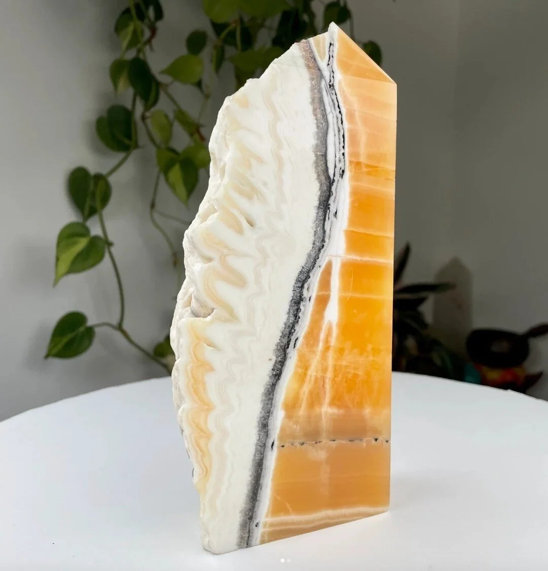 Hair Inspo | Eco-Friendly Salon — Salon 6 Indianapolis