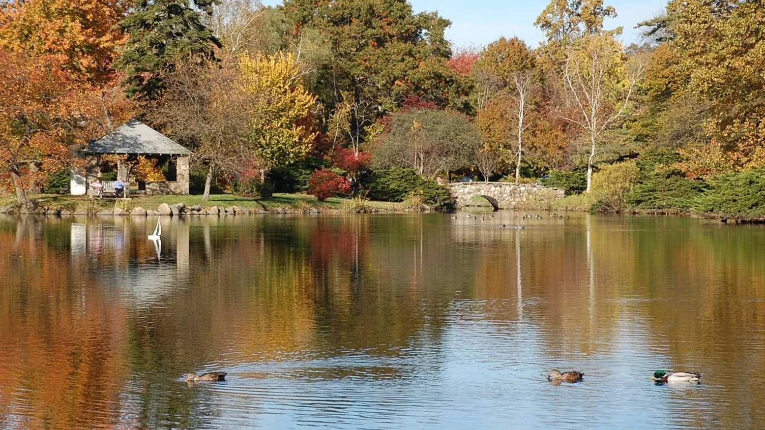 General 5 — Friends of Binney Park