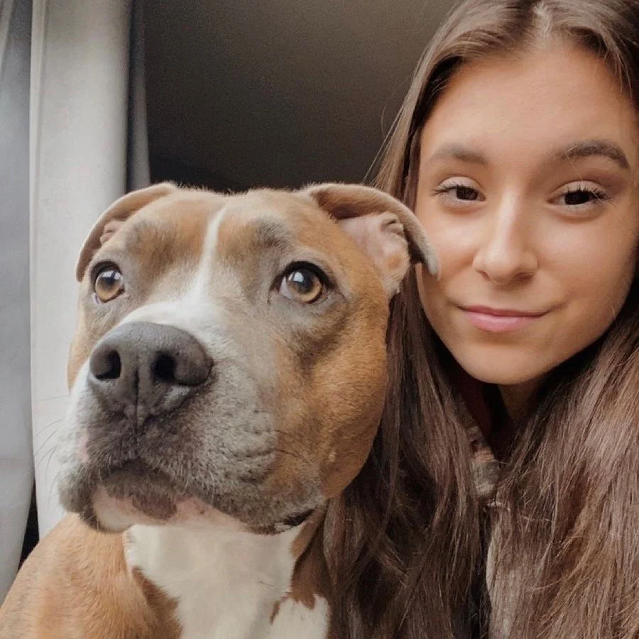 About Us — Fundy Veterinarians