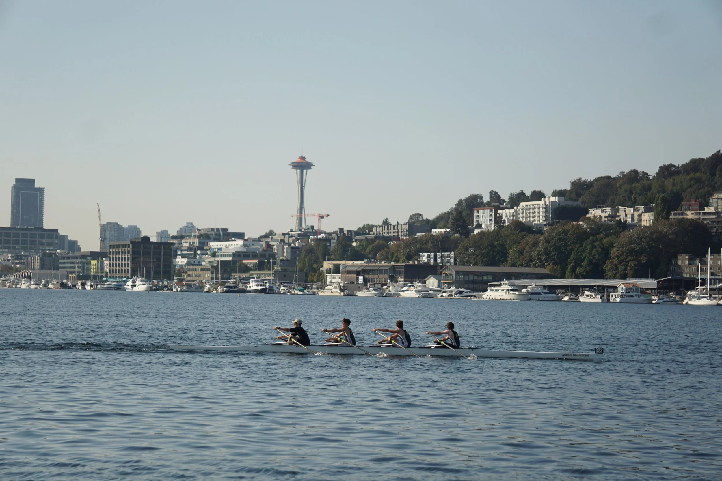 Pocock Youth Rowing