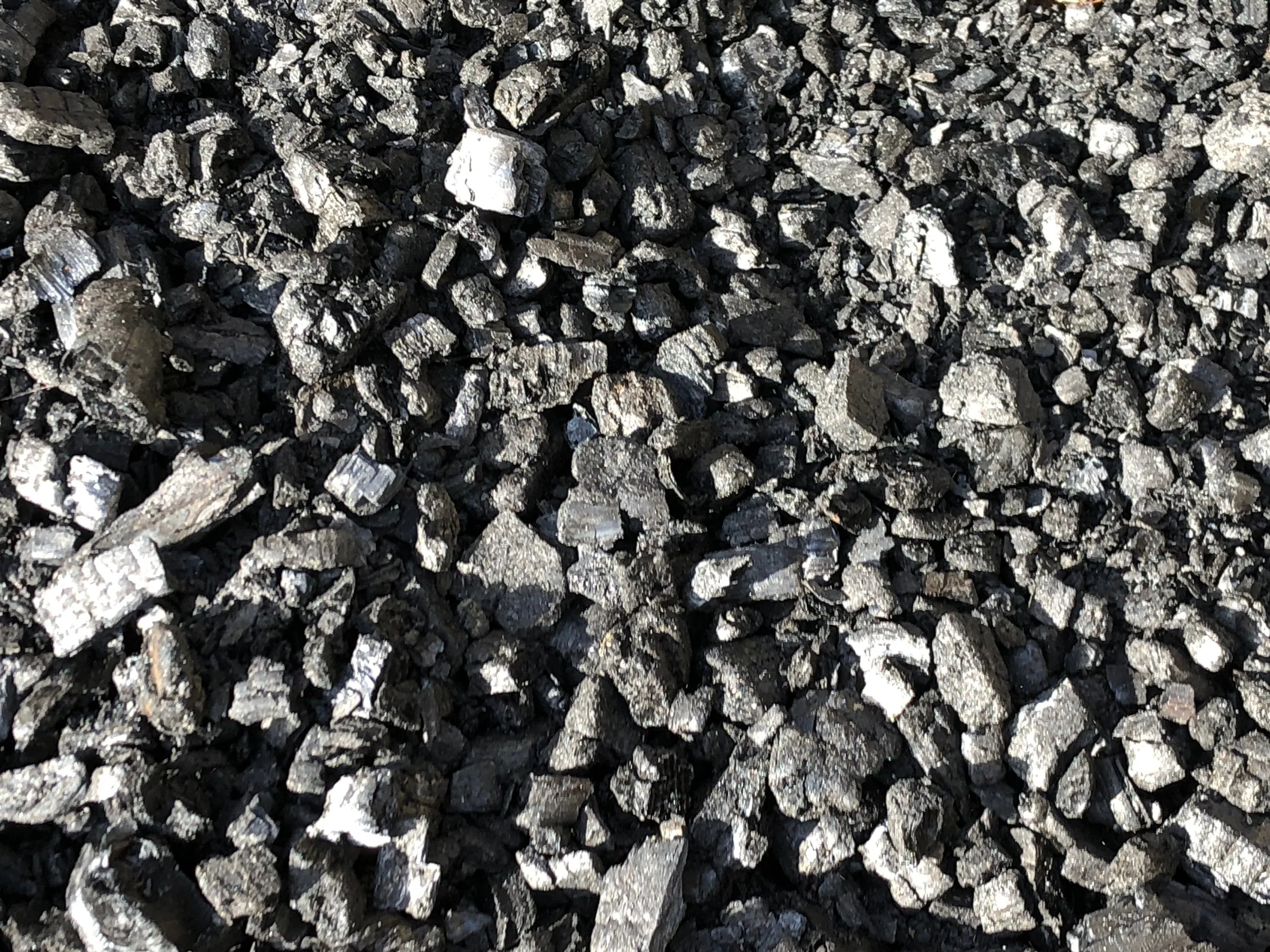 Bagged Biochar (Raw) — Diggers Cooperative