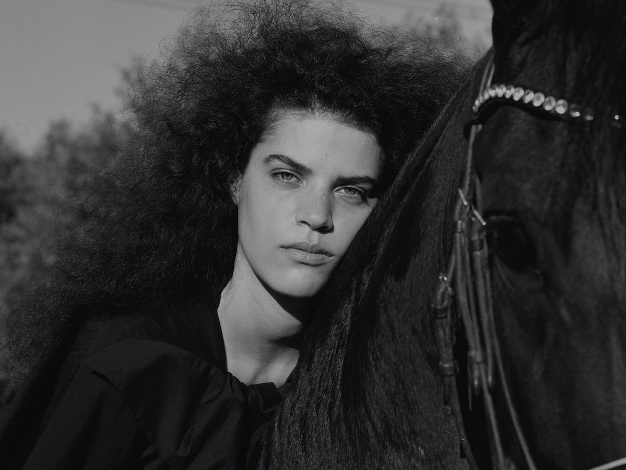 ALICE — bloom management