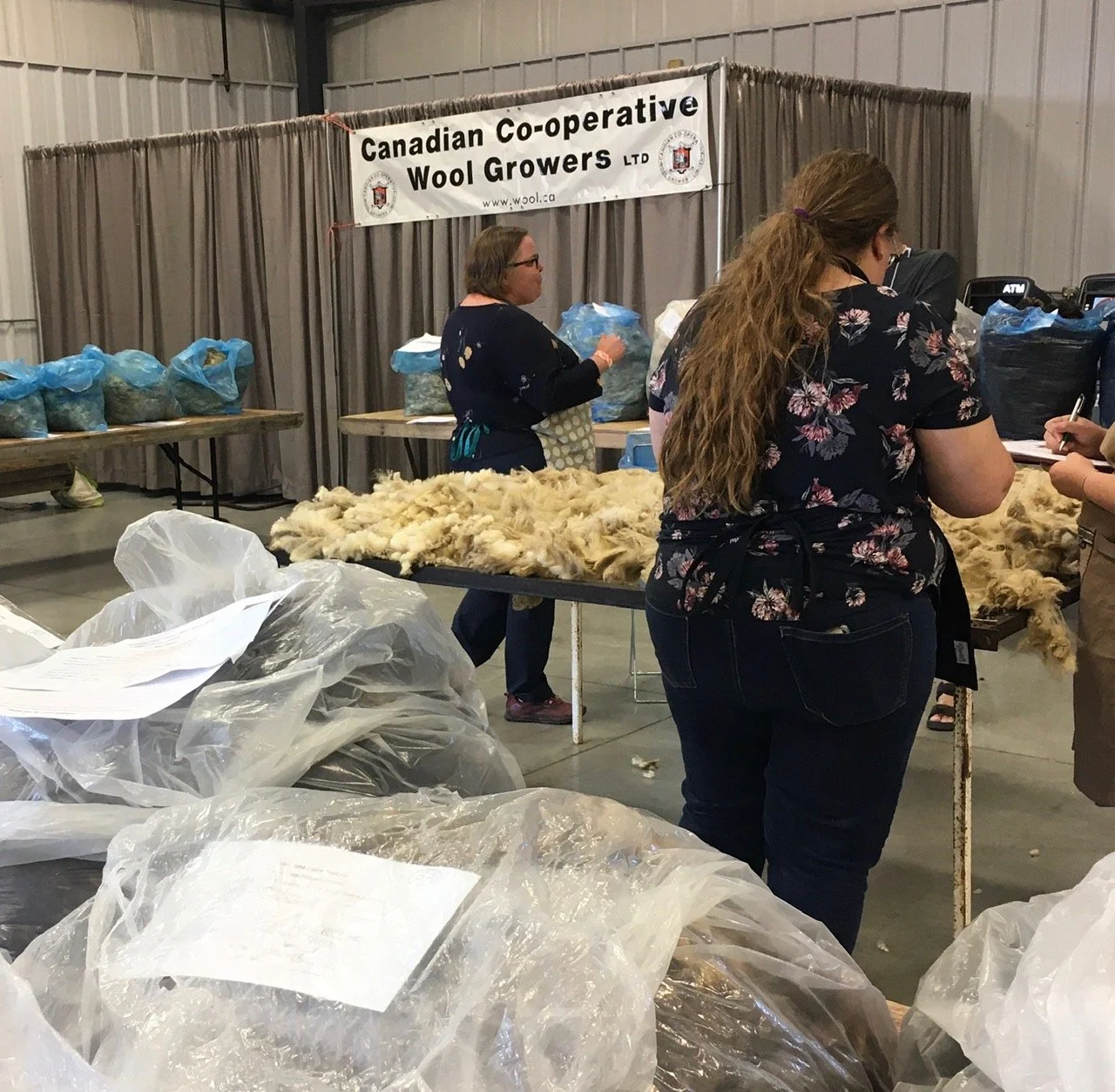 Wool Show and Sale — Manitoba Fibre Festival
