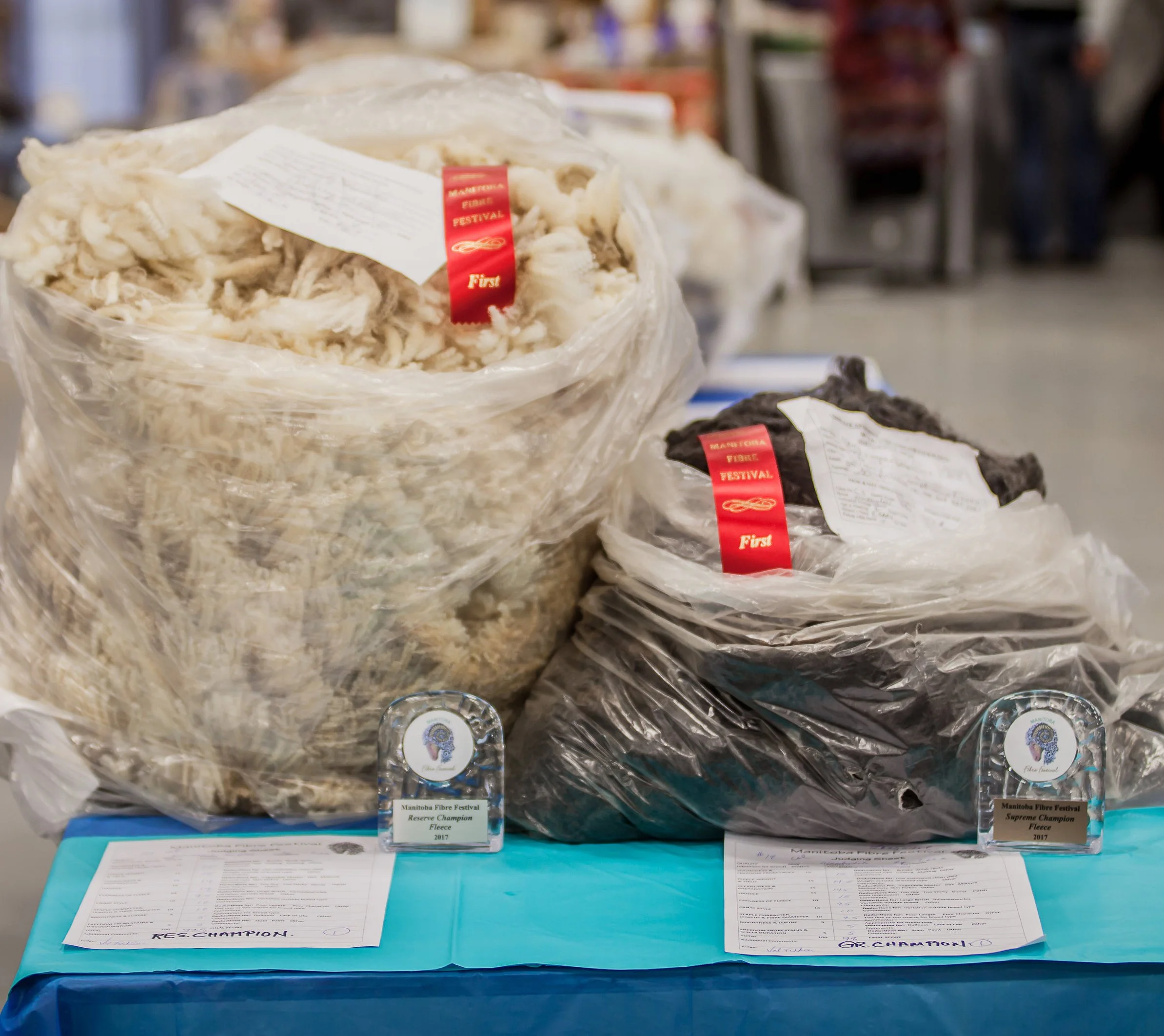 Wool Show and Sale — Manitoba Fibre Festival