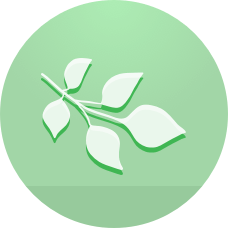 Home: 2Morrow - Wellness and Wellbeing Programs
