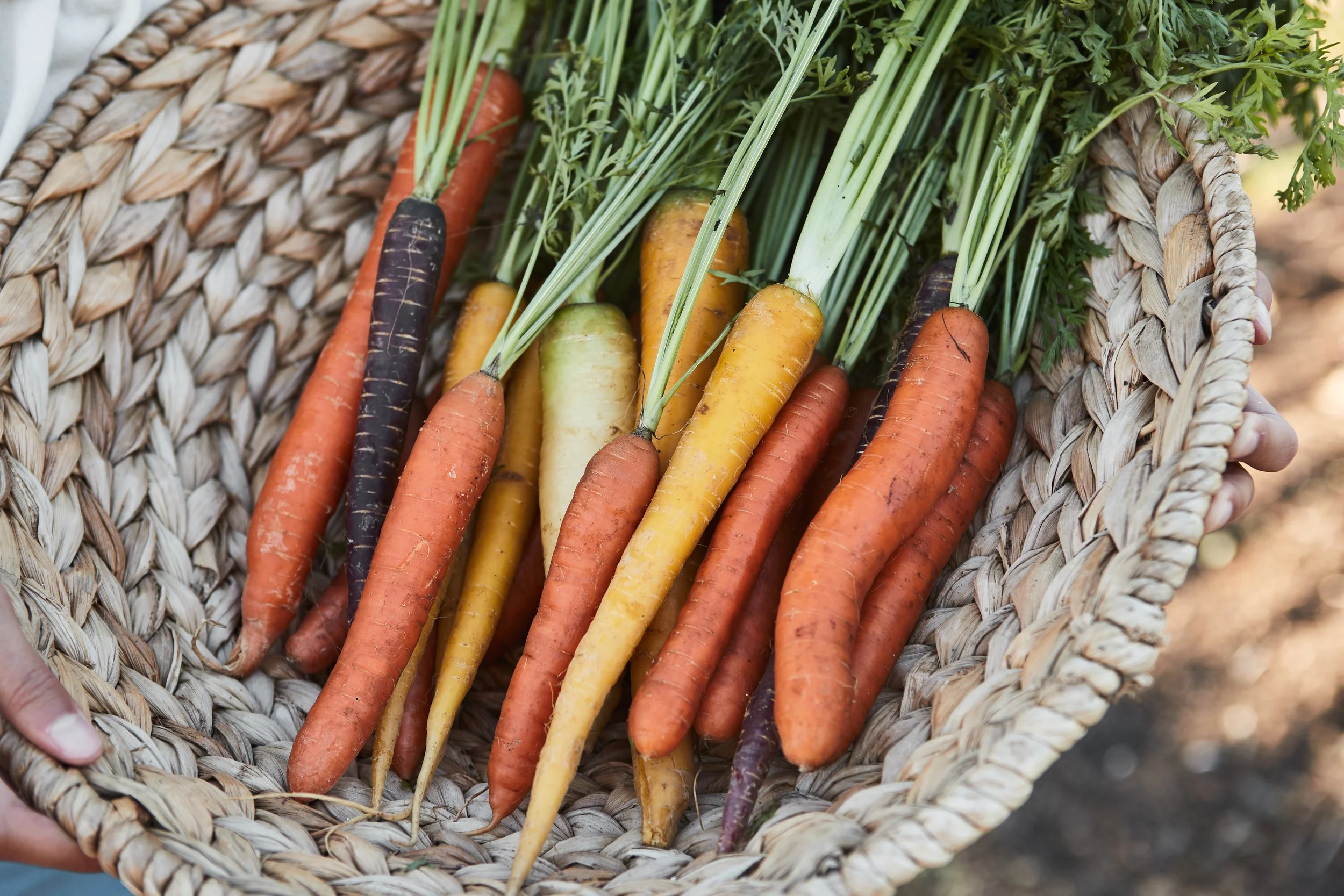 We Are Farm To Fork