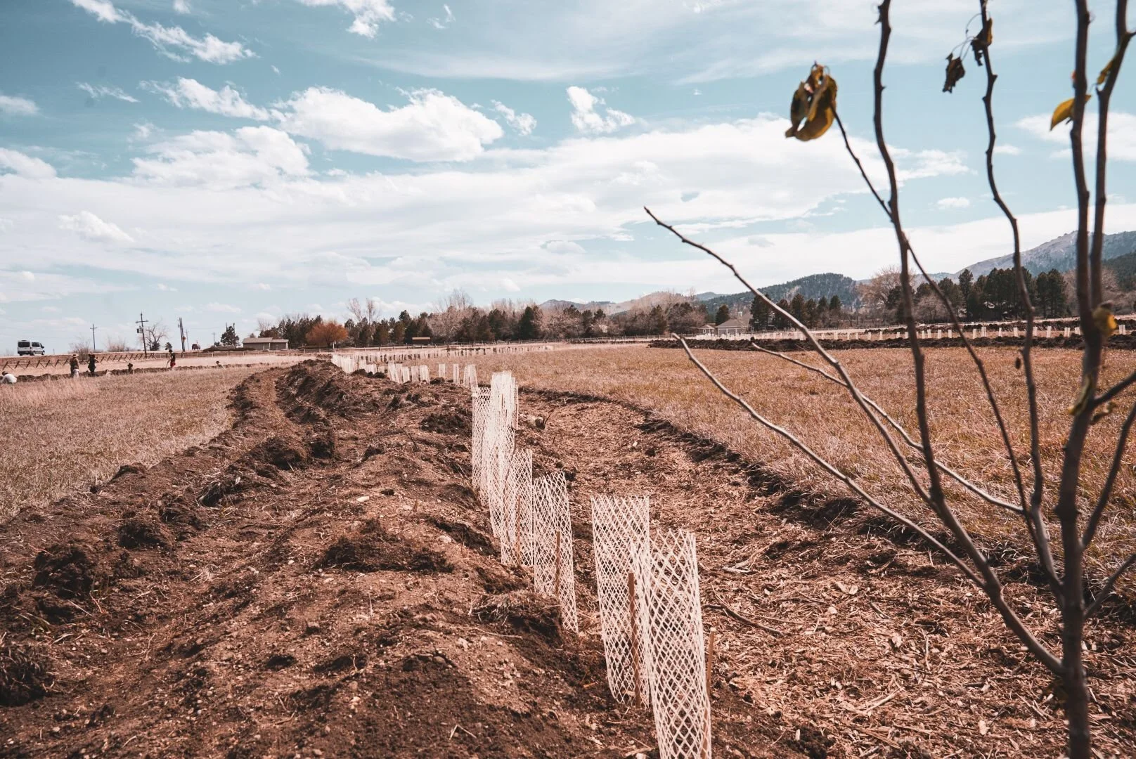 Our Story — Yellow Barn Farm