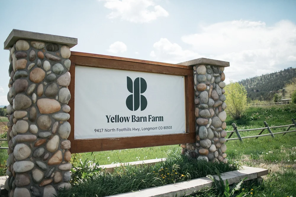 Yellow Barn Farm