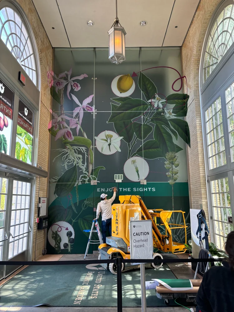 Boost Business Visibility with Effective Window Graphics — CSI