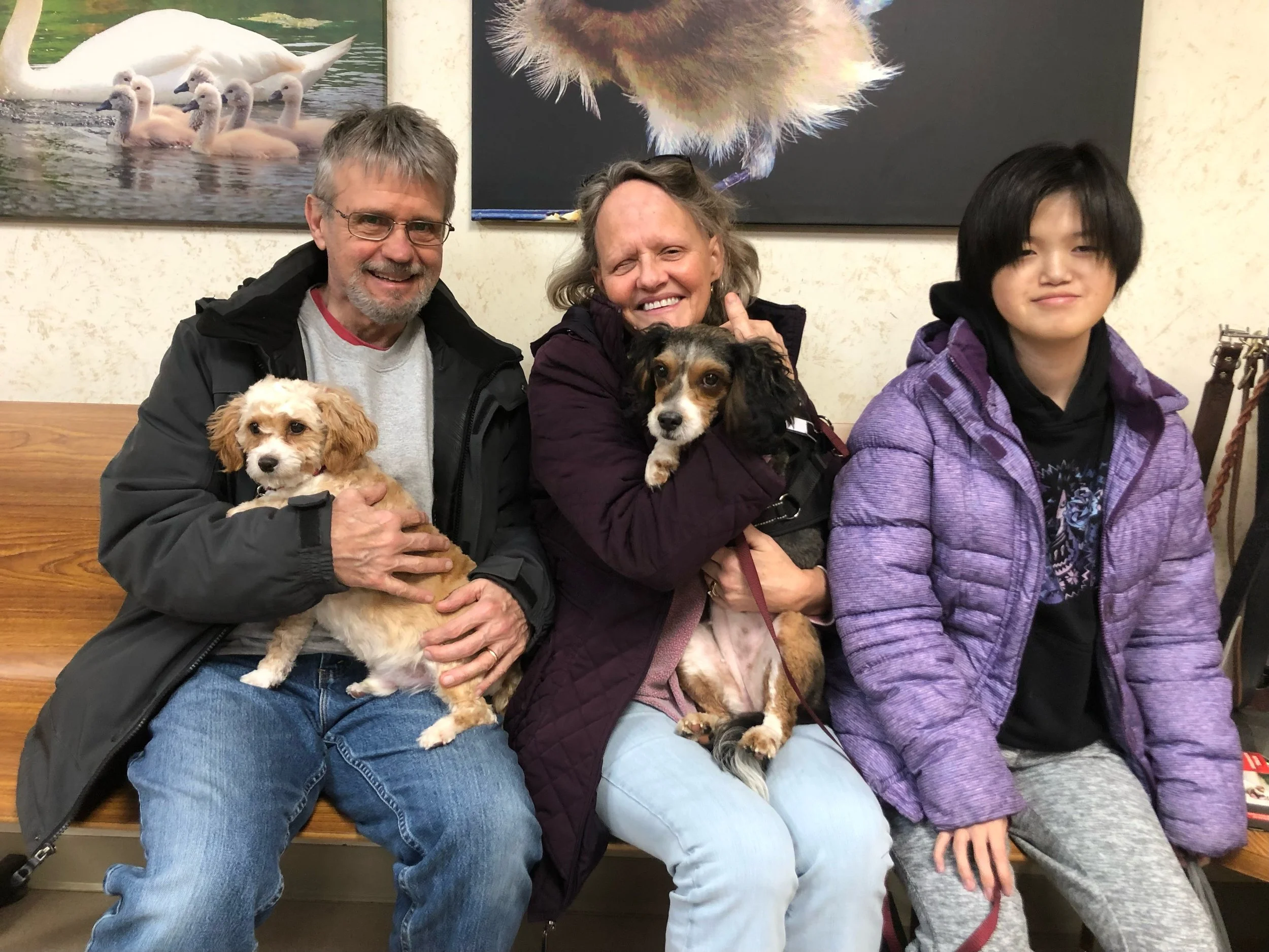 Gallery 1 — Loyal K9 Rescue