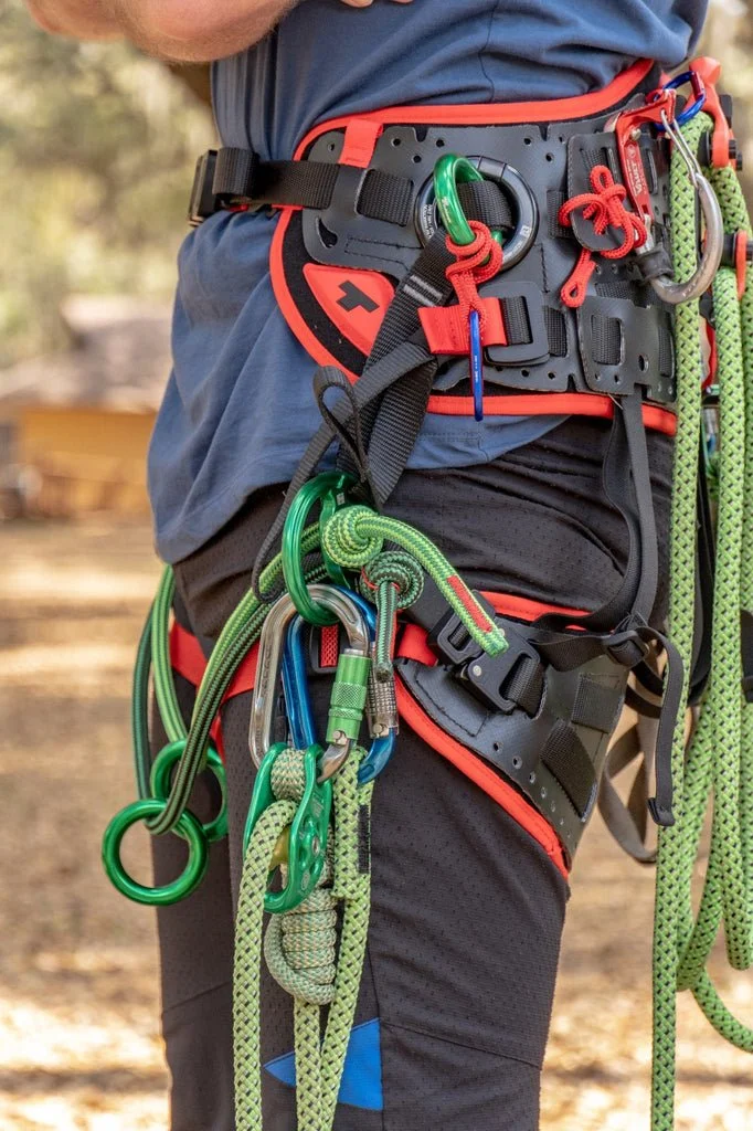 Apex Tree Service-Services | Great Falls, MT