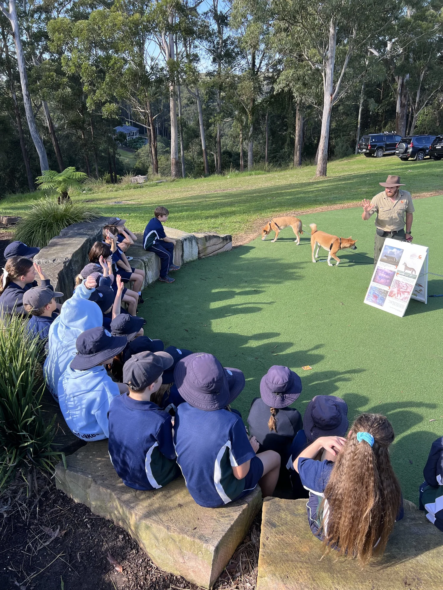 School Incursions — Hello Dingo