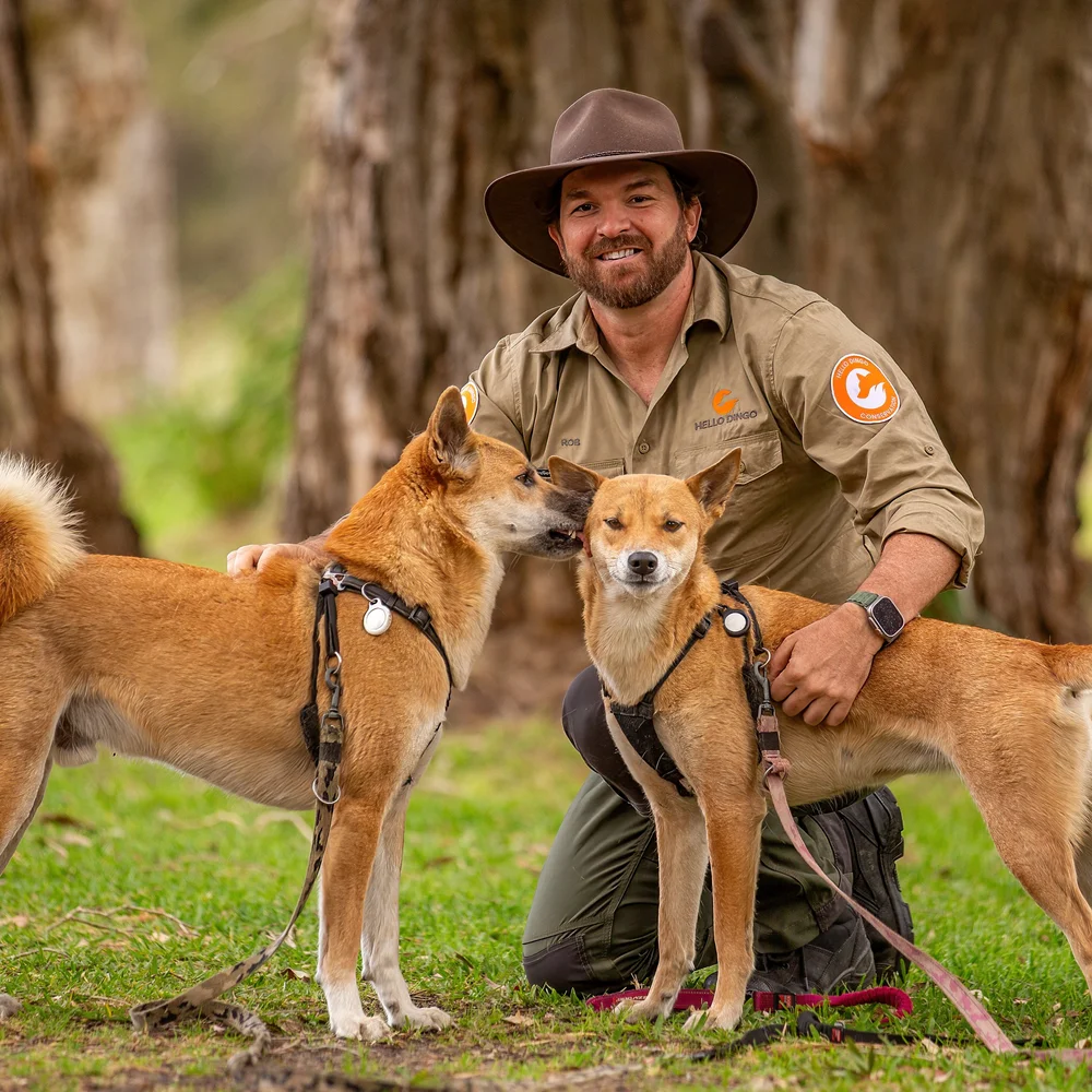 Our Team — Hello Dingo