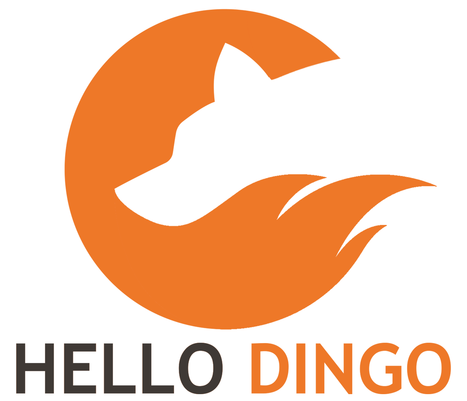 Hello Dingo