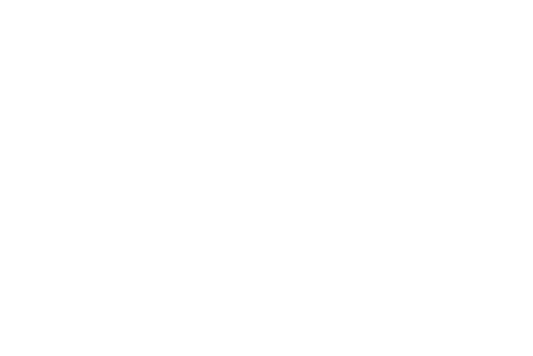Lisa Trueman Heritage Pty Ltd