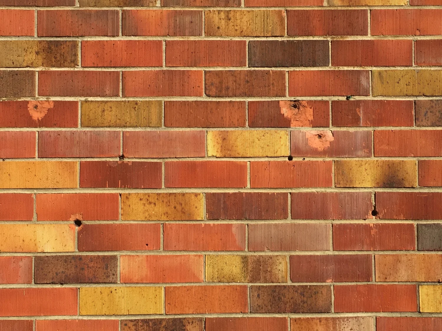 Lisa Trueman Heritage Advisor