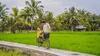 Is Bali Safe Now Amidst the War in the Middle East? — The Forge