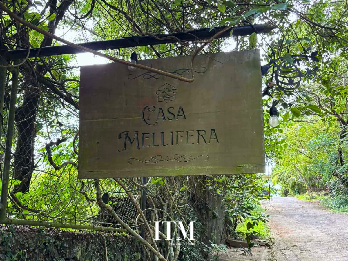 A Taste of Honey: The Sweet Escape Awaits at Casa Mellifera Apiary ...