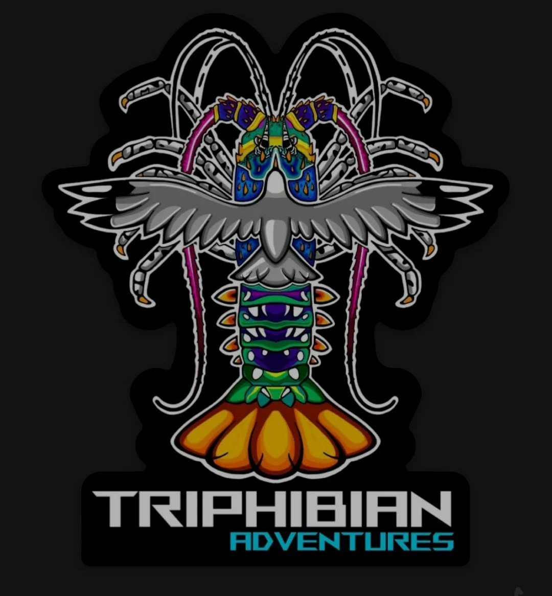 Triphibian Adventures