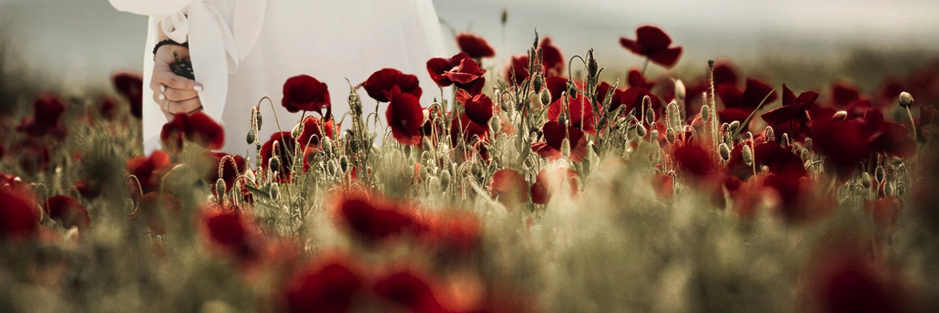 Resistance Girl Series — Historical Fiction about WWI & WWII Resistance ...