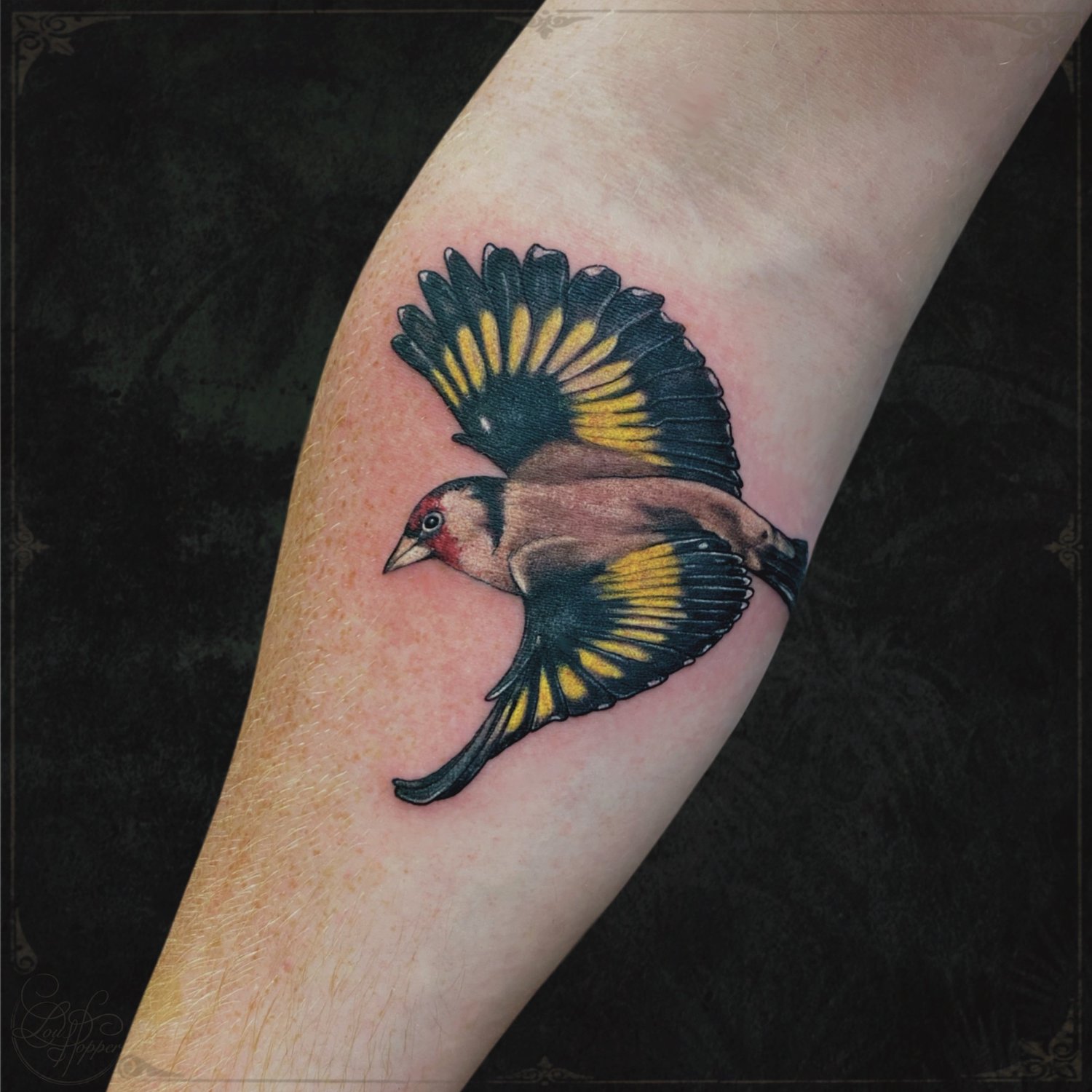 lou-hopper — Brighton Tattoo Collective