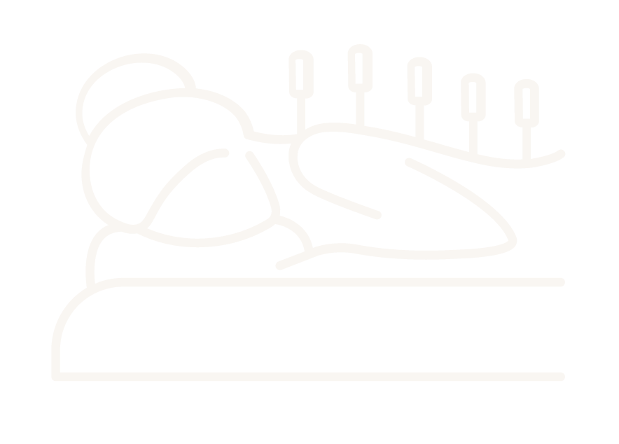 Lotus Chiropractic Care